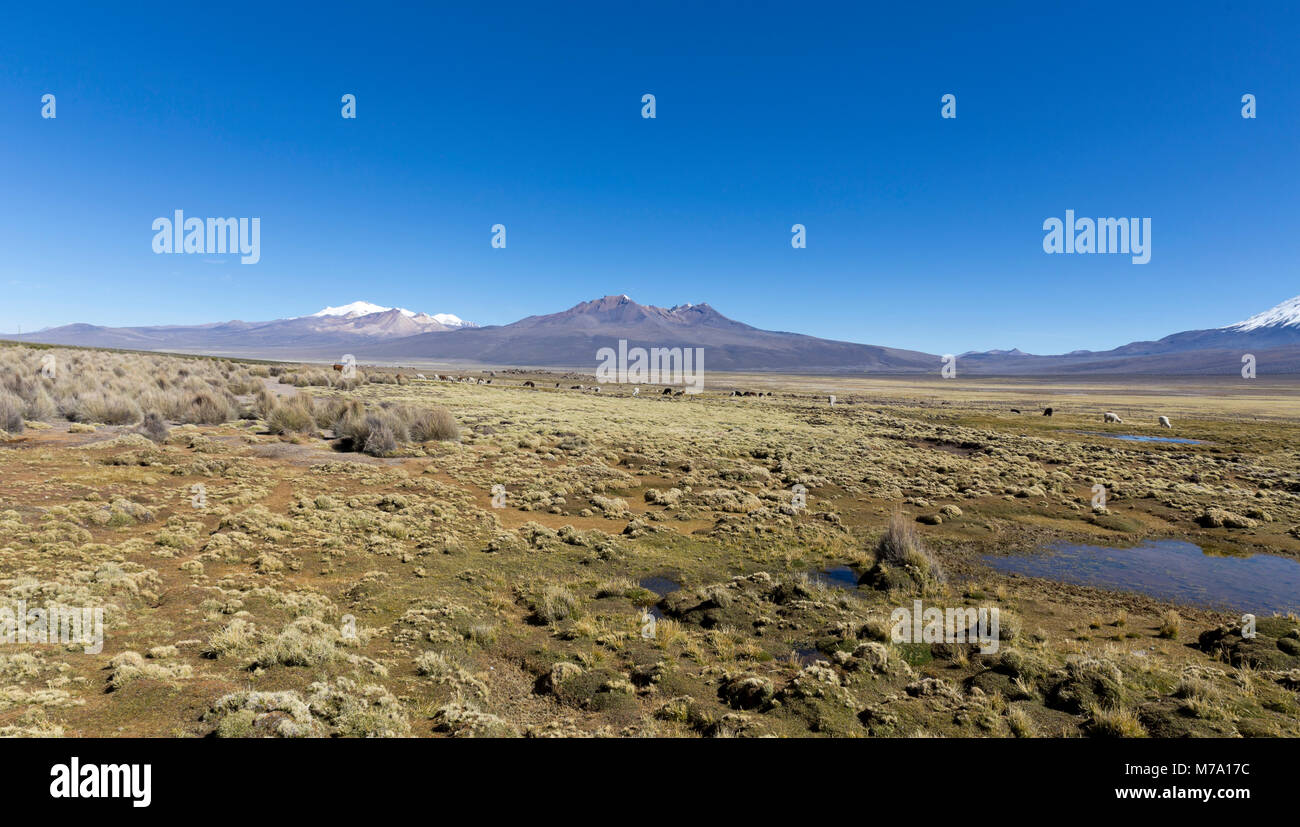 Andean panorama: landscape of the Andes Mountains, with snow-covered ...