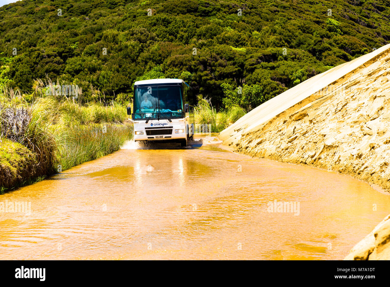 Tourist bus drives up the Te Paki Stream, used as a 'road' to access ...