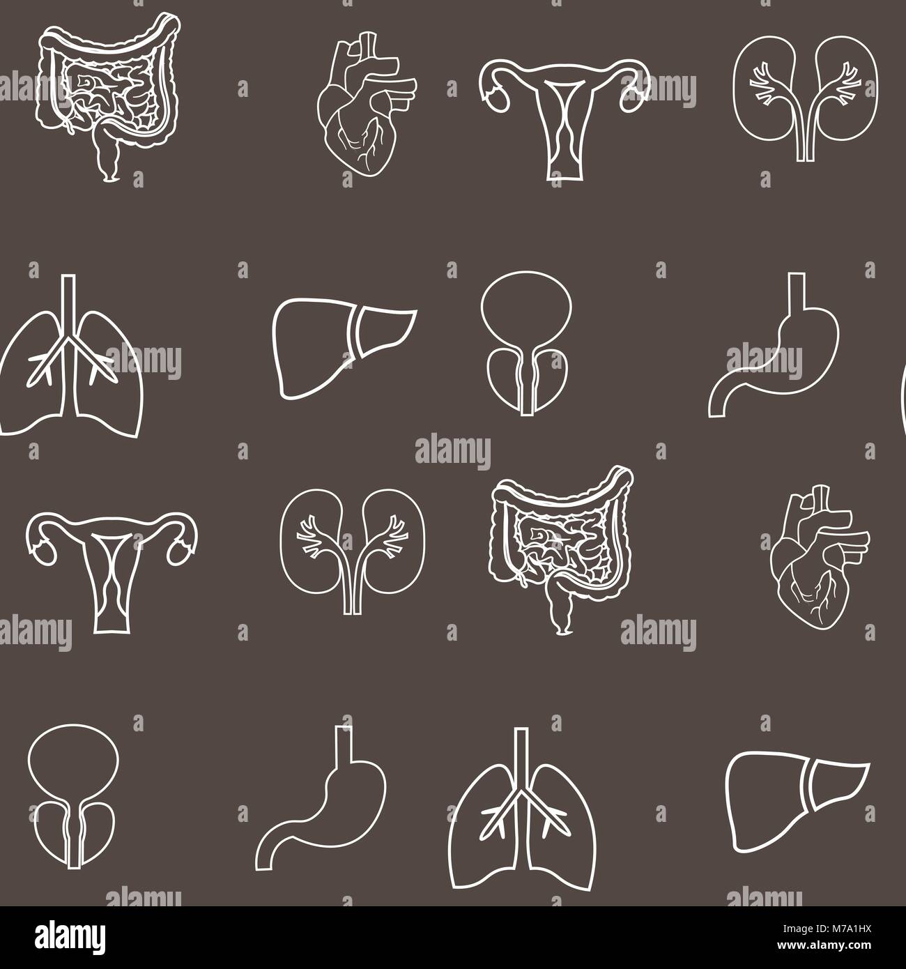 human organs seamless pattern. Pattern on the medical theme of the ...