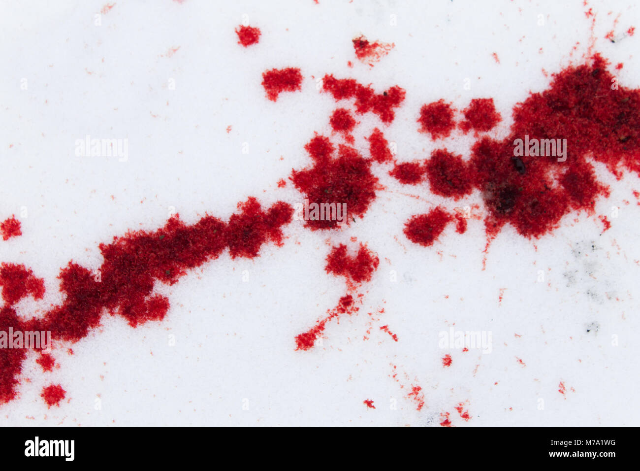 Fake crime scene hi-res stock photography and images - Alamy