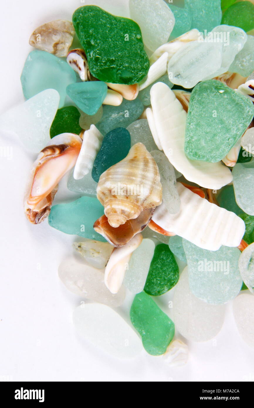 Glass with shells hi-res stock photography and images - Alamy
