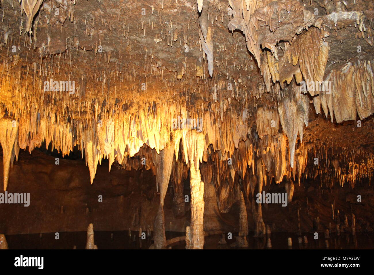 Meramec Caverns, Missouri Stock Photo - Alamy