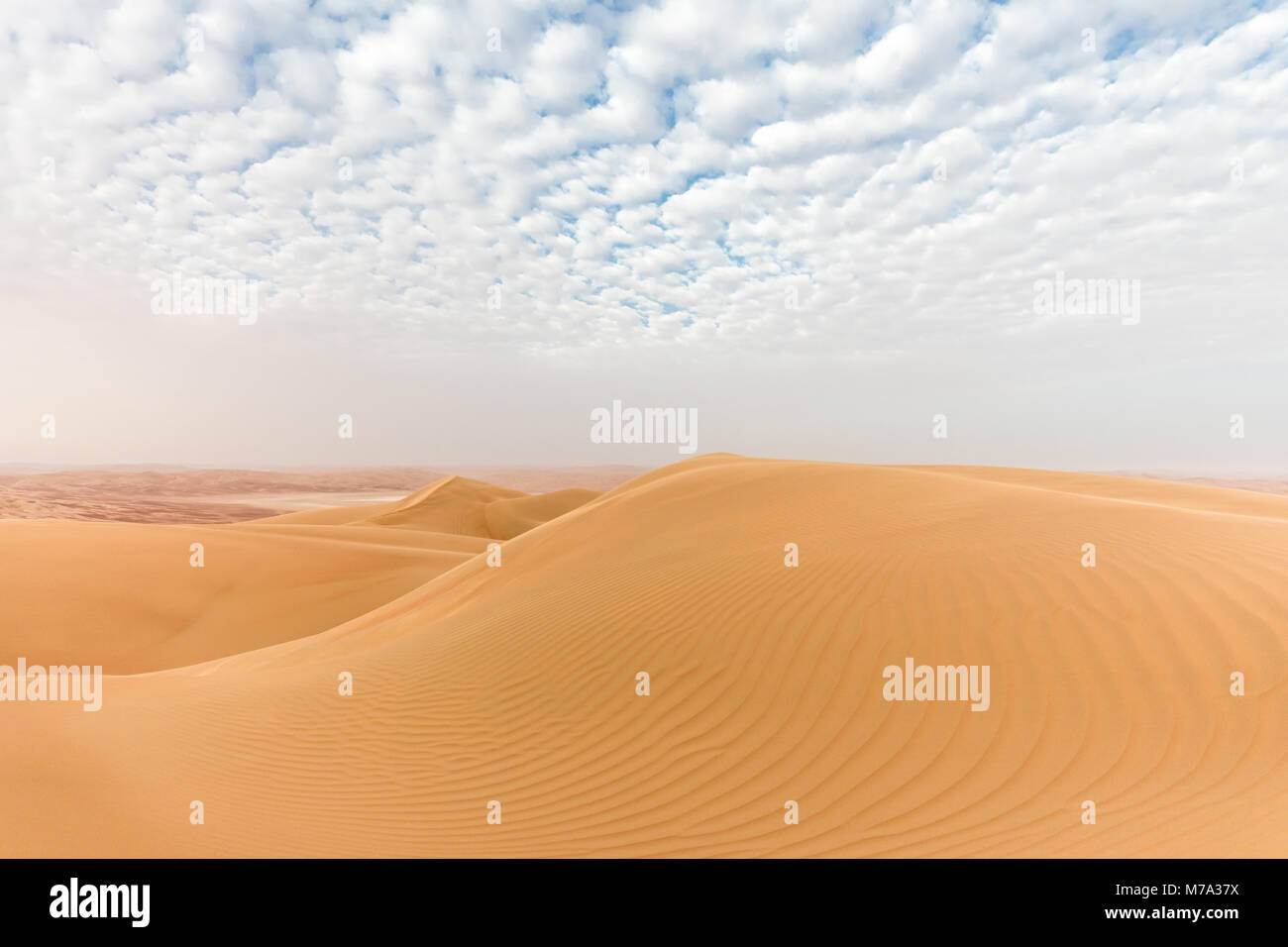 Beautiful remote sandy desert landscape of dunes in Liwa desert in ...