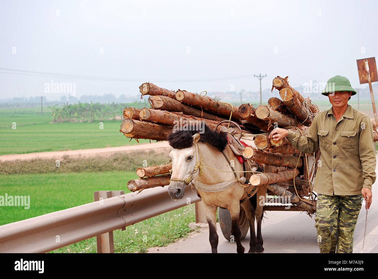Carry tree trunks hi-res stock photography and images - Alamy