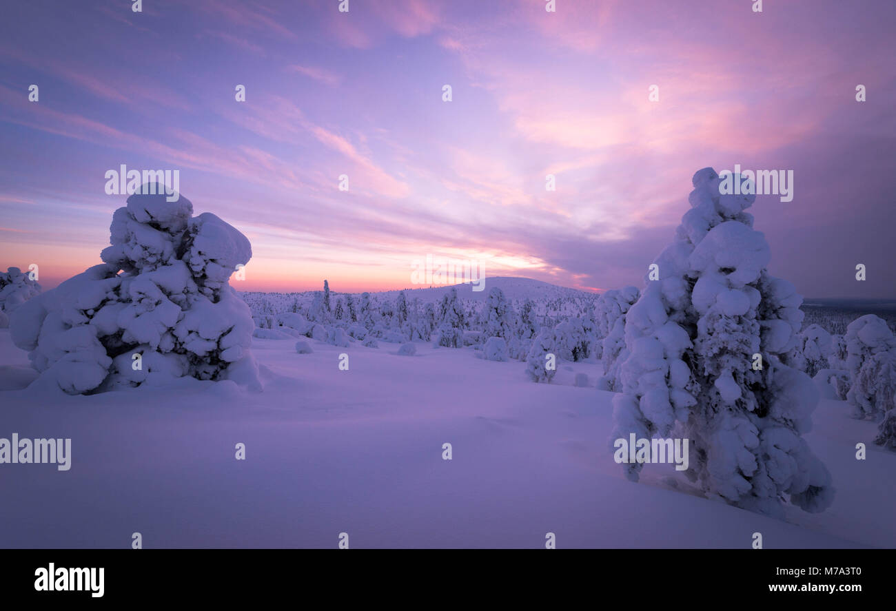 Winter Sunset at fell Sammaltunturi, Pallas-Yllästunturi National Park ...