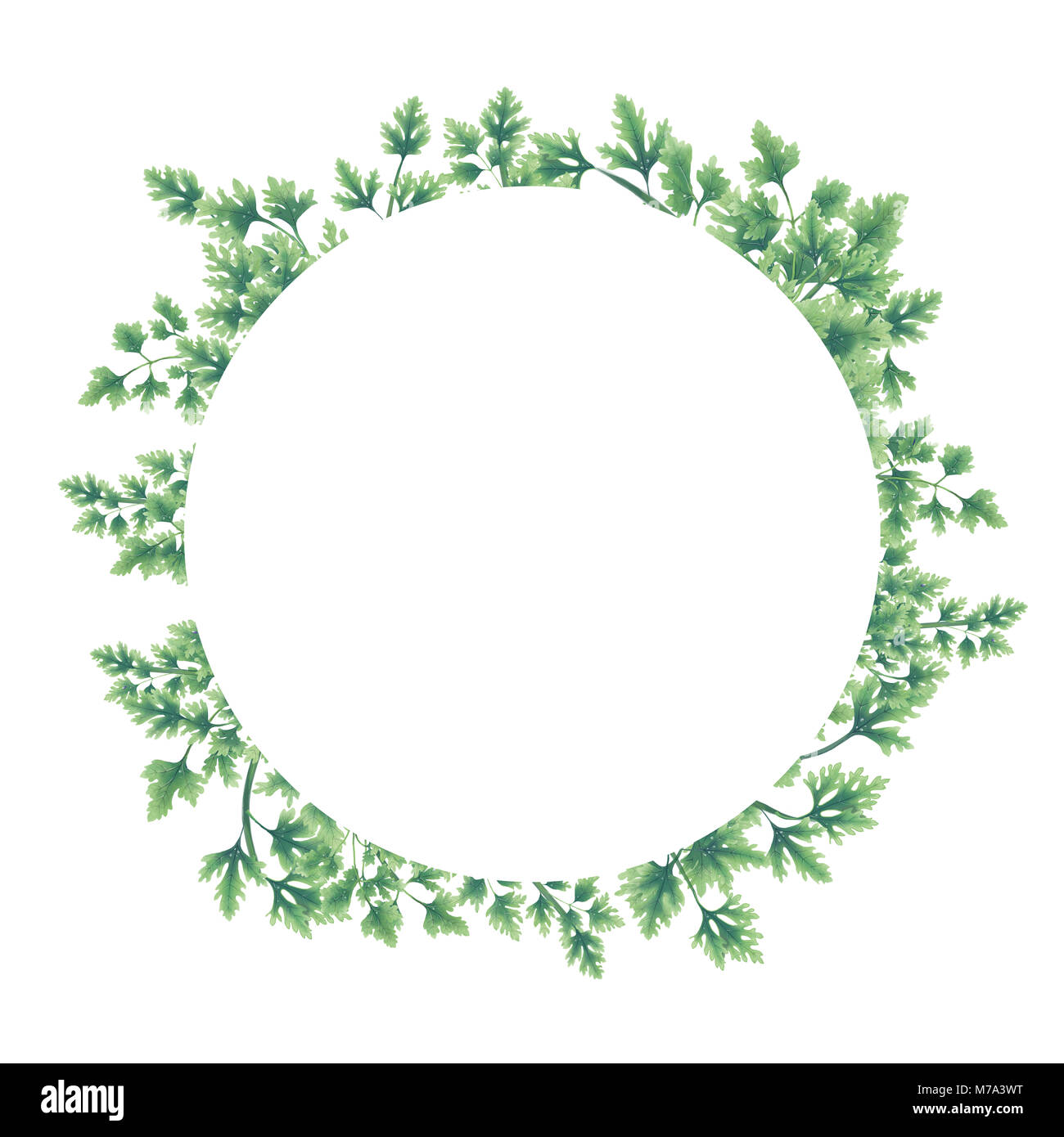 Vegetable salad illustration frame Cut Out Stock Images & Pictures - Alamy