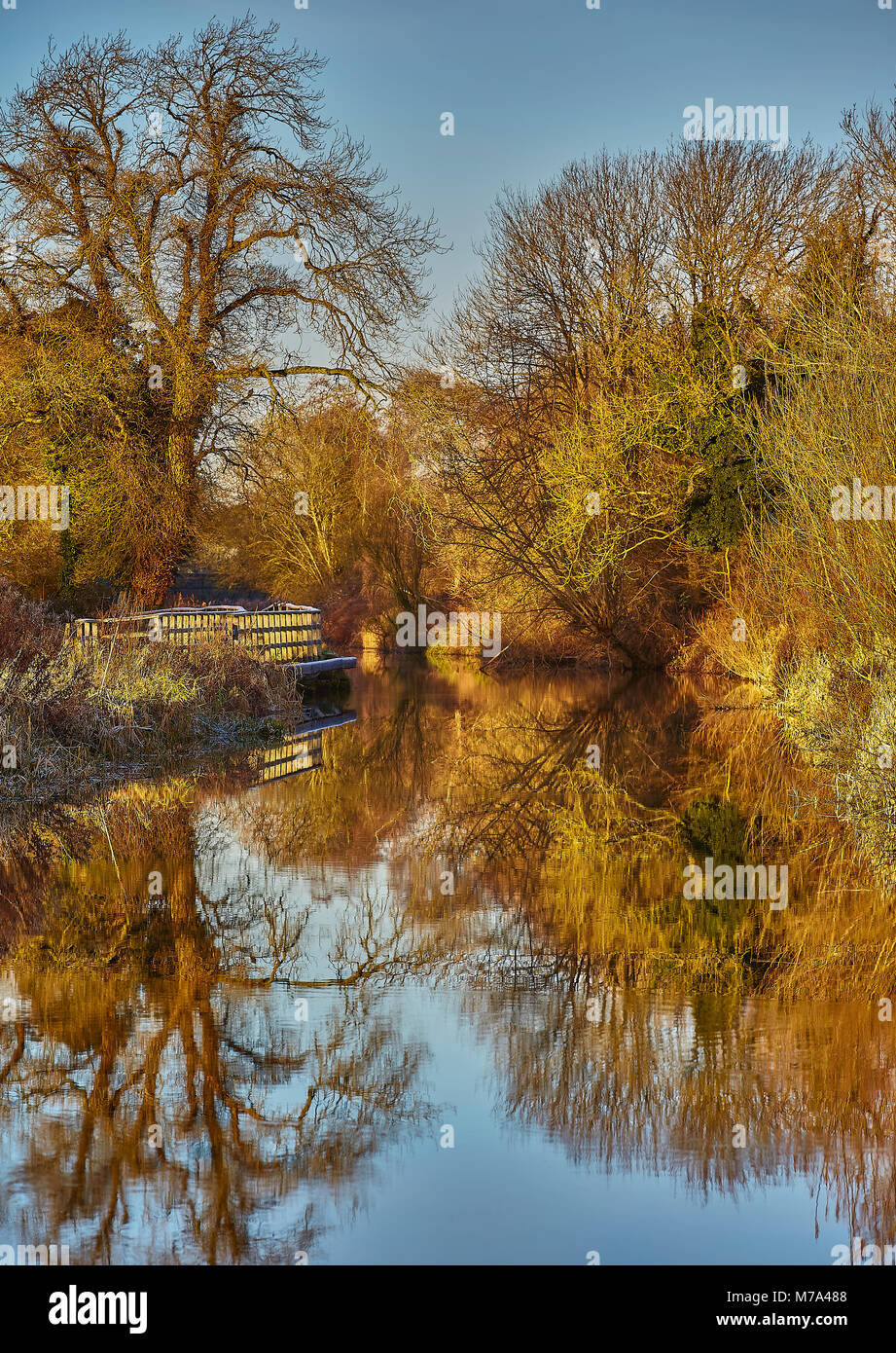 Trees reflecting in the Kennet and Avon canal during the autumn ...
