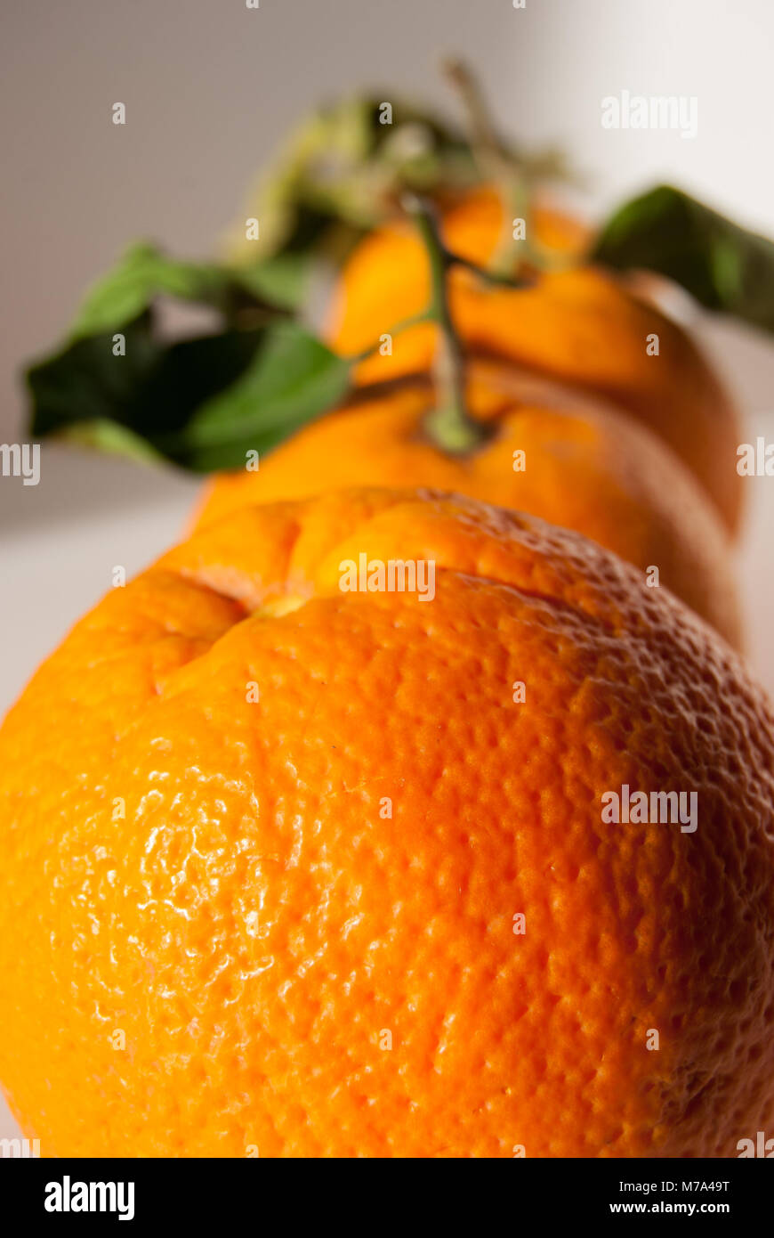 3 oranges in sequence one behind the other Stock Photo - Alamy