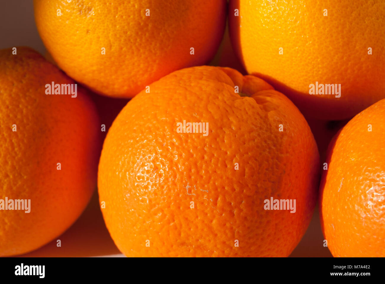 Close up of 5 italian and biological oranges Stock Photo - Alamy