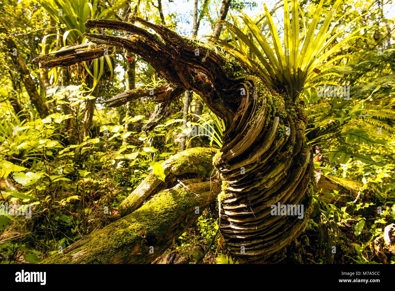 Boulders in nature hi-res stock photography and images - Alamy