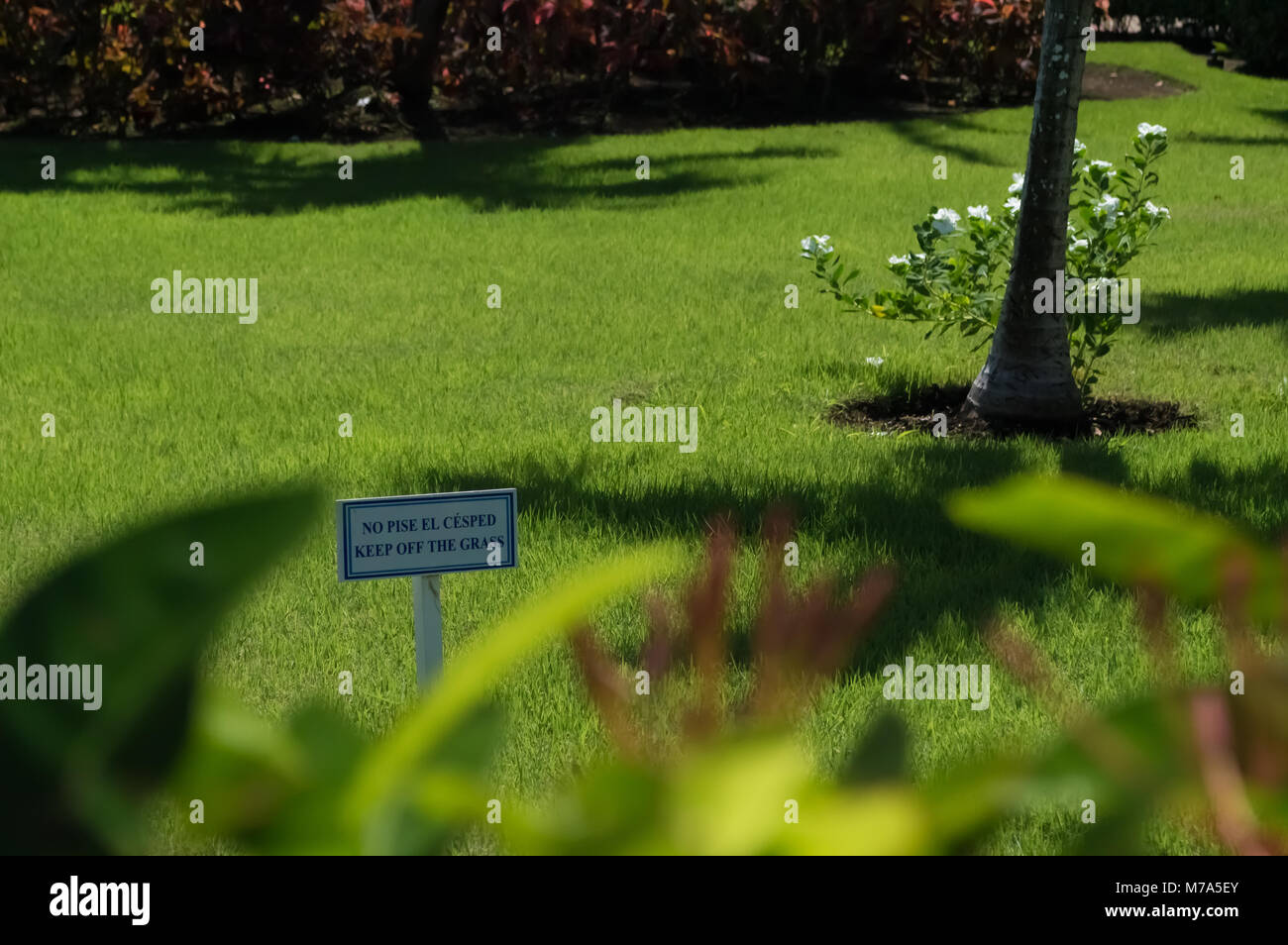 A Sign Saying Keep Off The Grass Stock Photo Alamy a-sign-saying-keep-off-the-grass-stock-photo-alamy