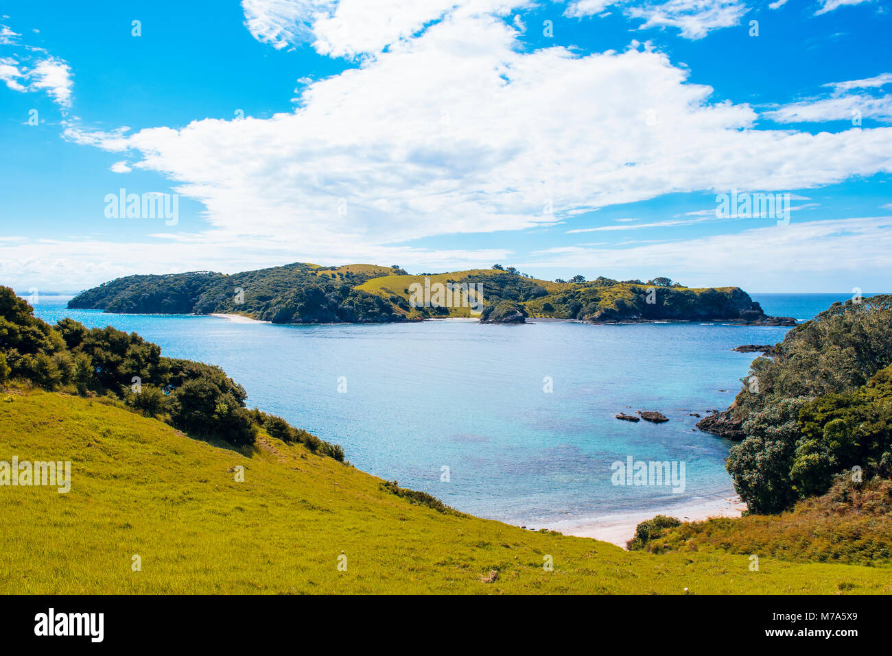 Urupukapuka island bay islands new hi-res stock photography and images ...