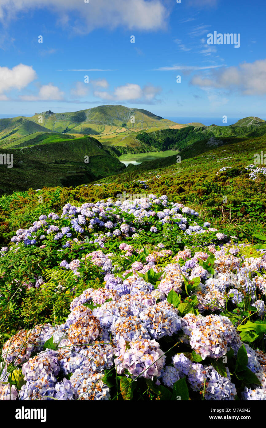 Caldeira Funda and Pico Negro, Flores. Azores islands, Portugal Stock ...