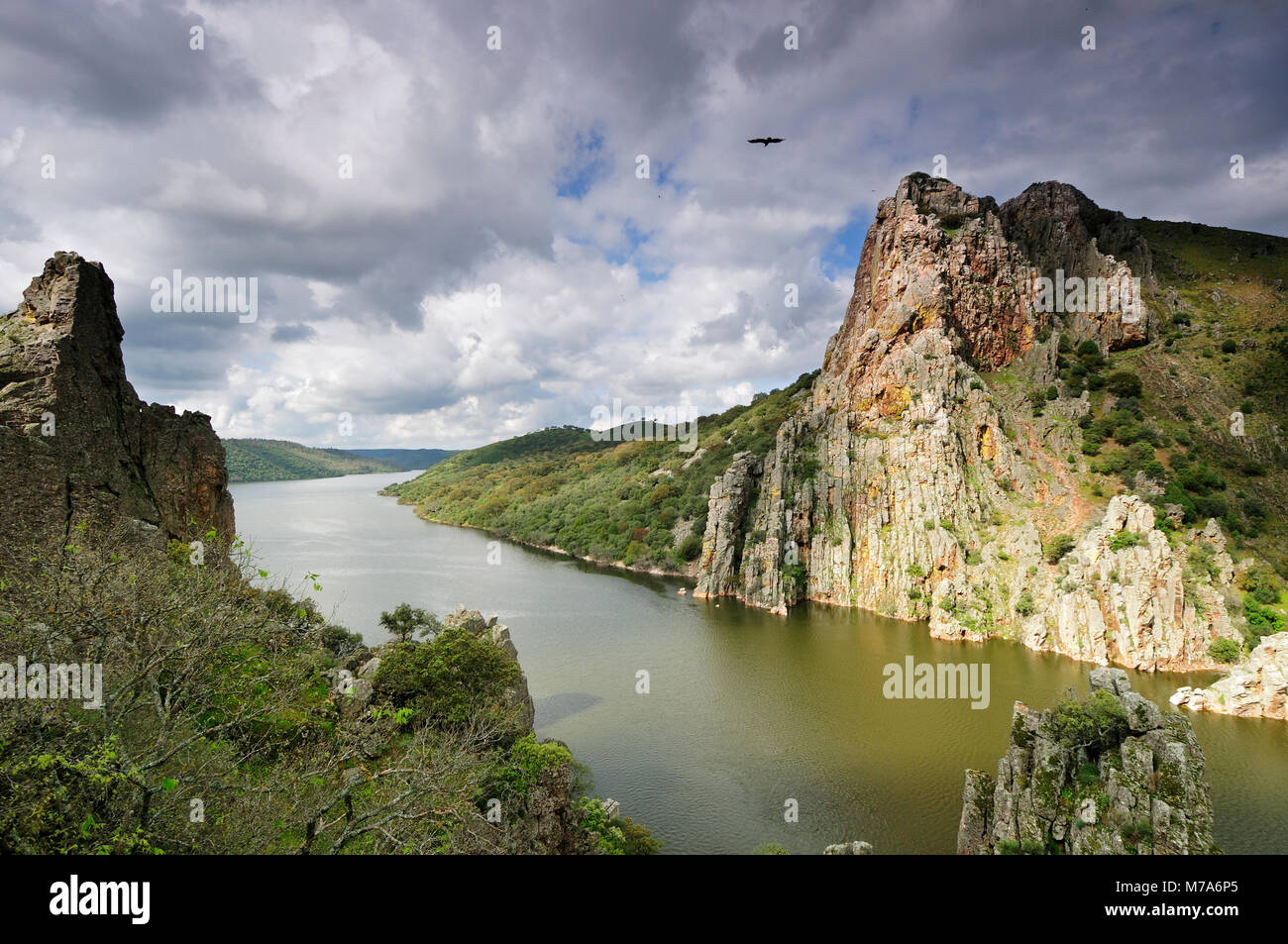 Tagus river at the Monfrague National Park. Spain Stock Photo - Alamy