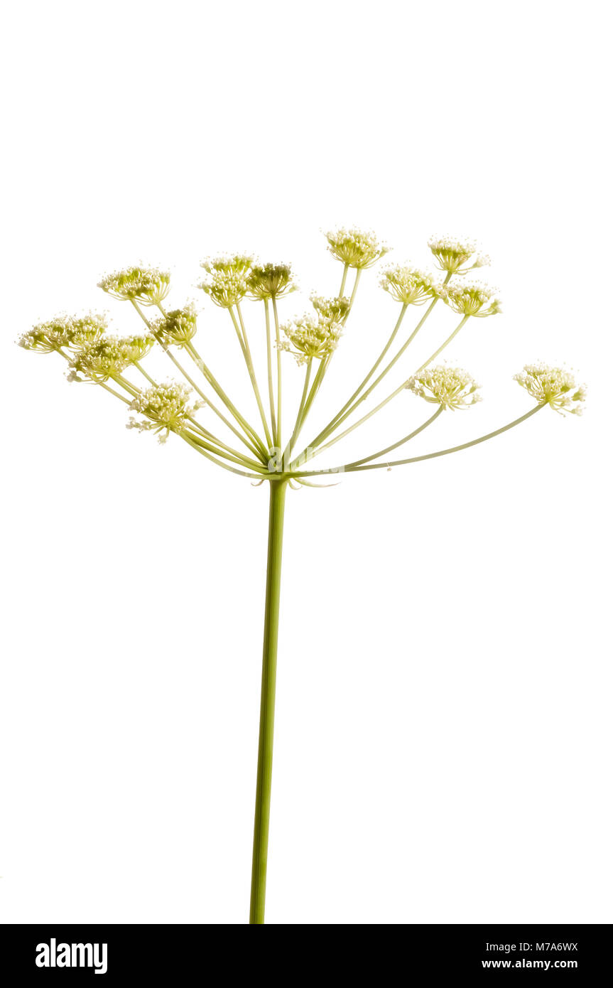 Algarve re Cut Out Stock Images & Pictures - Alamy