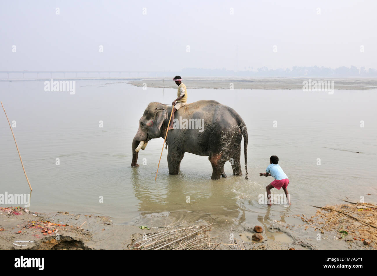 Bihar village hi-res stock photography and images - Alamy