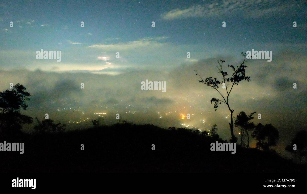 Tree shrouded in mist hi-res stock photography and images - Alamy