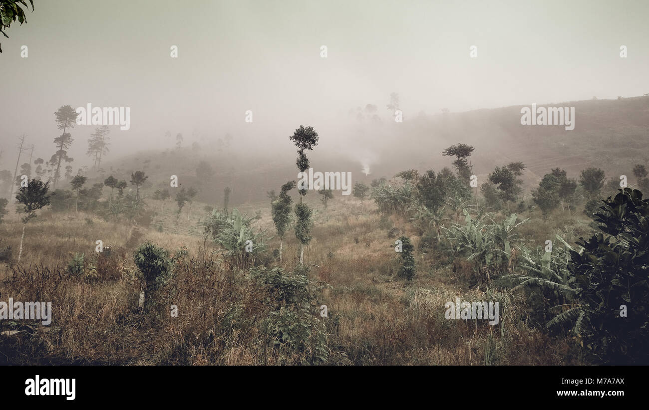 Mist shrouded mountain hi-res stock photography and images - Alamy