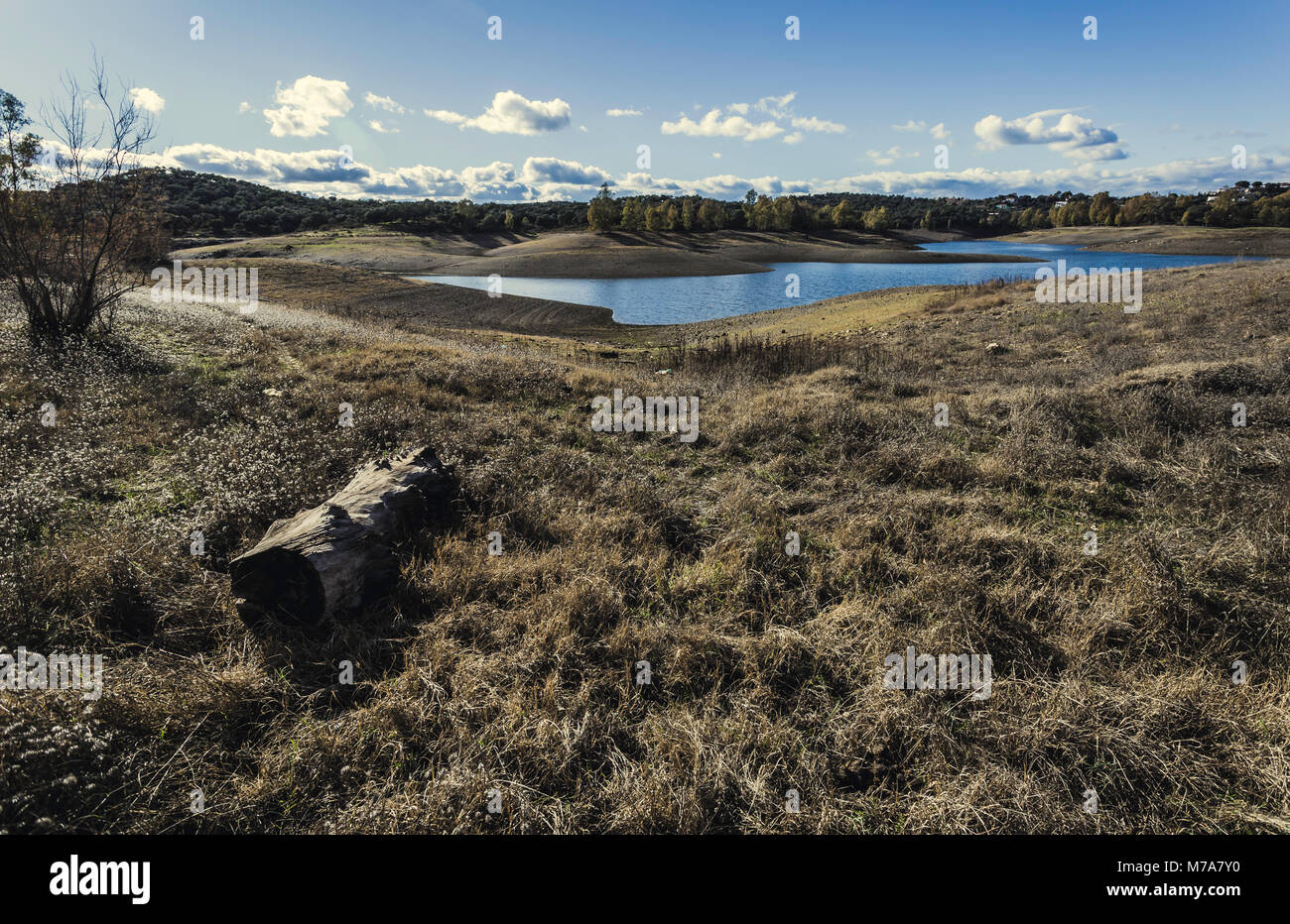 Dry trunk on the grass Stock Photo - Alamy
