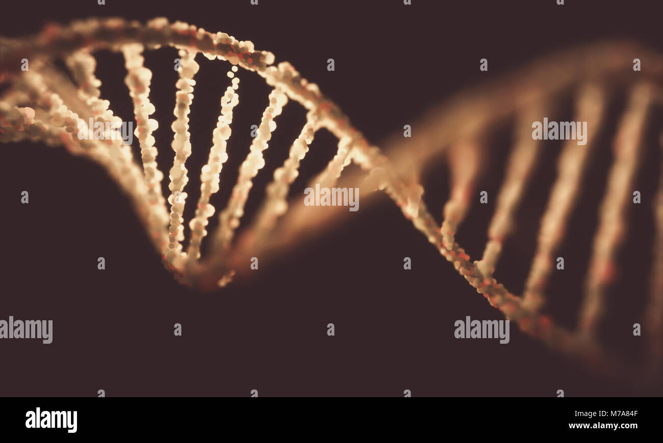 DNA (deoxyribonucleic acid) structure, illustration Stock Photo - Alamy
