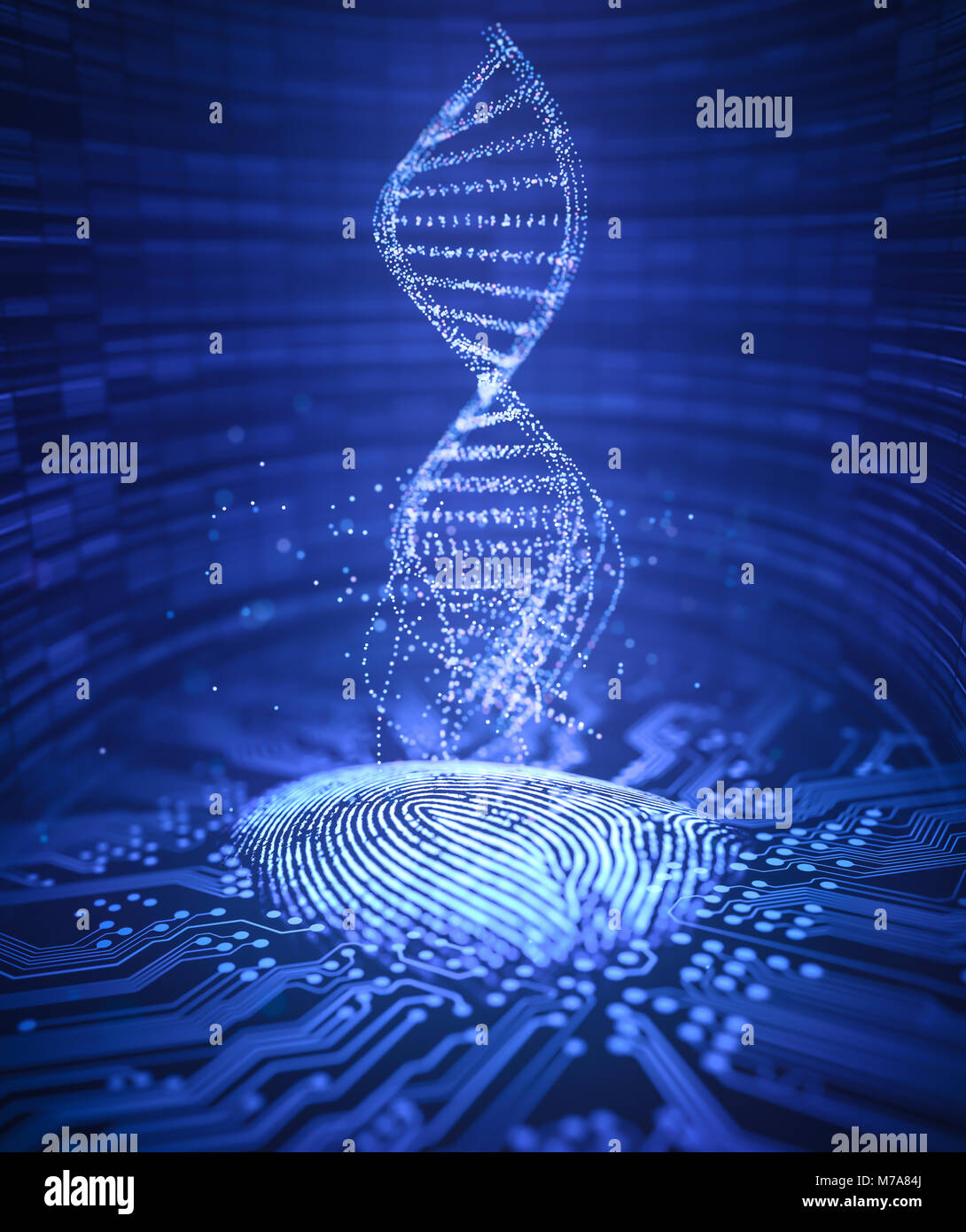 DNA (deoxyribonucleic acid) structure, illustration Stock Photo - Alamy