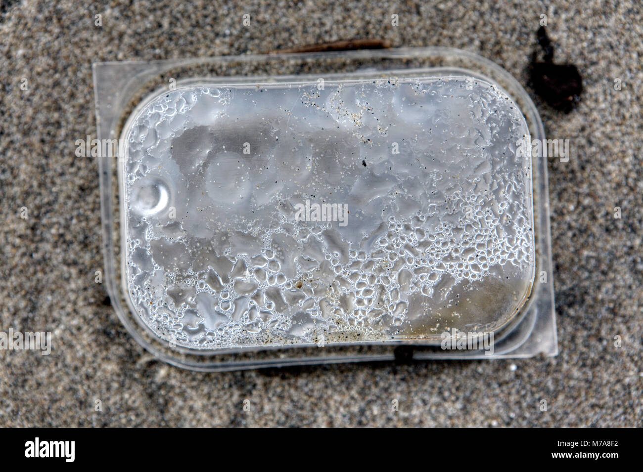 Coastline pollution at Napoleon Beach , Port-Saint-Louis du Rhone ...