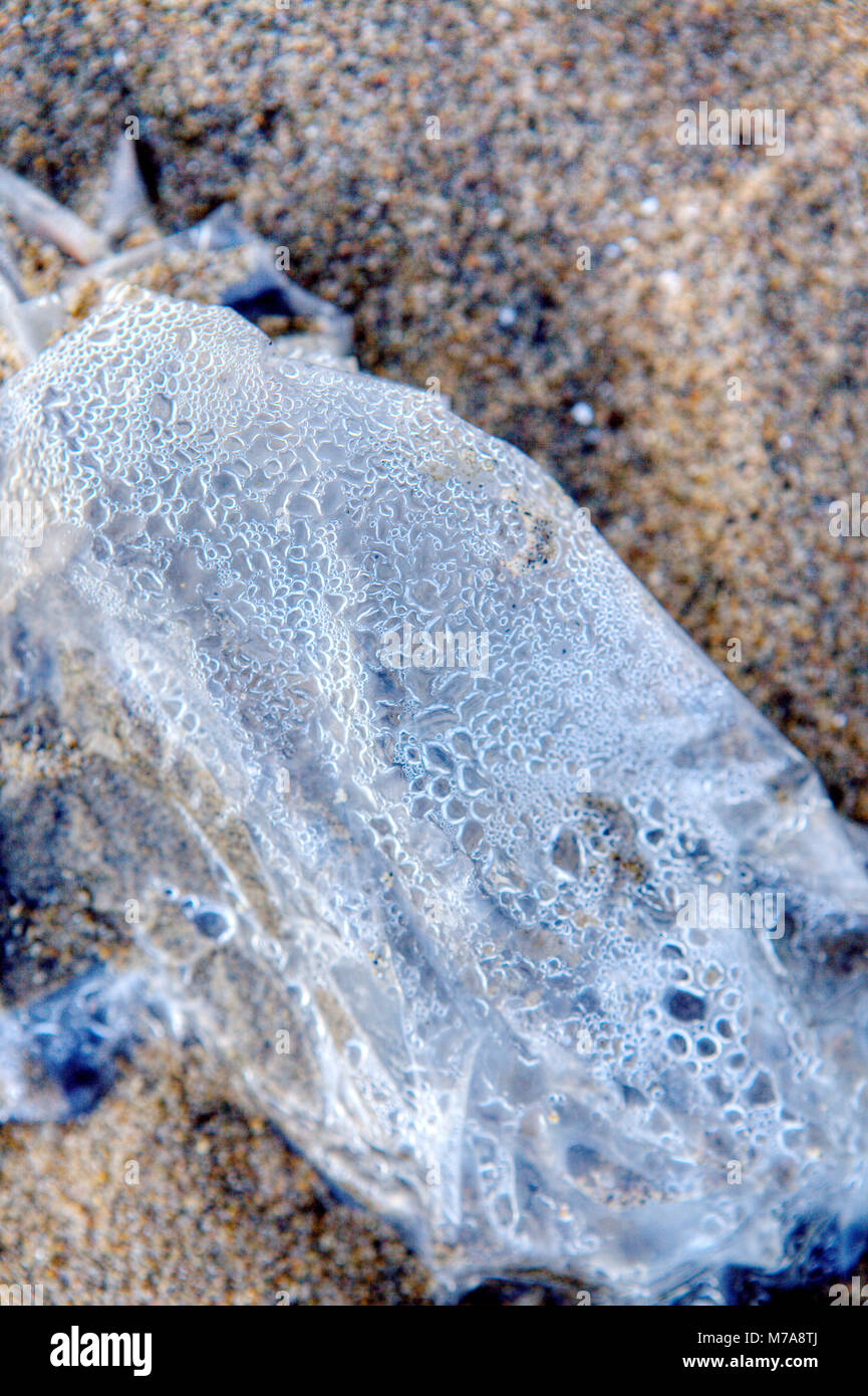 Coastline pollution at Napoleon Beach , Port-Saint-Louis du Rhone ...