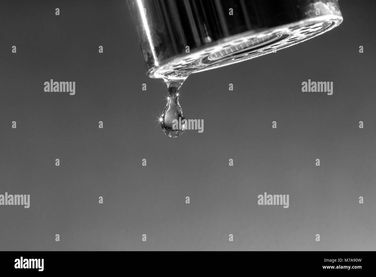Water Faucet With a single drop of water dripping, isolated against a ...