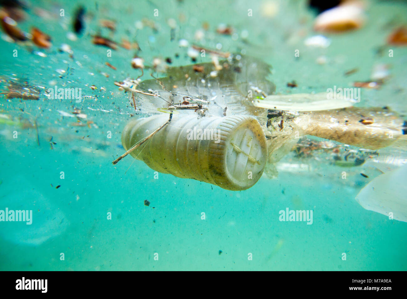 Trash floating on the Marseille shore line, Bouches-du-Rhône, France ...
