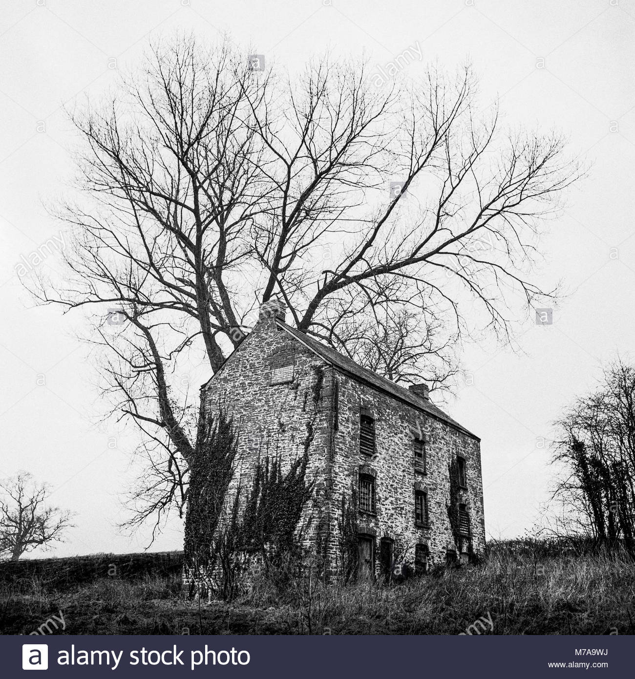 1960s 60s Building Stock Photos & 1960s 60s Building Stock Images - Alamy