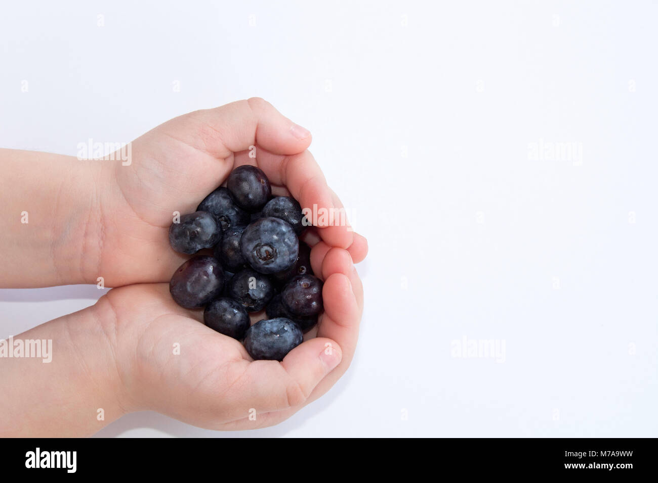 Child Holding Blueberries with Copy Space to the Right Stock Photo - Alamy