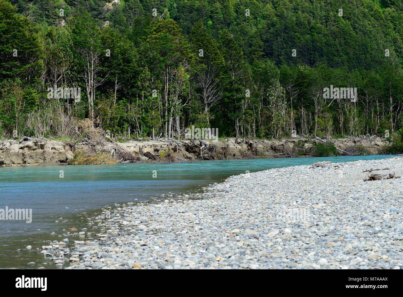 Shore of the Río Ibáñez, Carretera Austral, near Bahia Murta, also ...