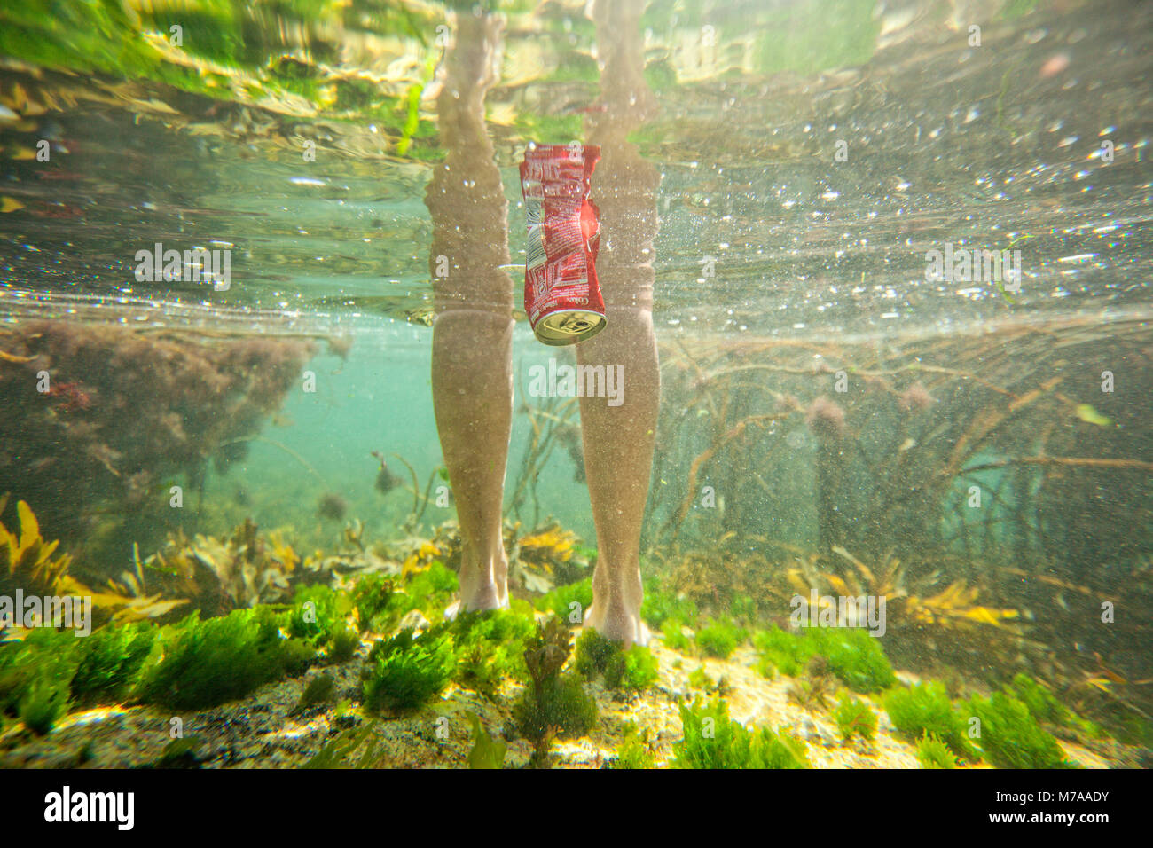 Trash floating on the Brittany shore line,Le Courégant, France. Water ...