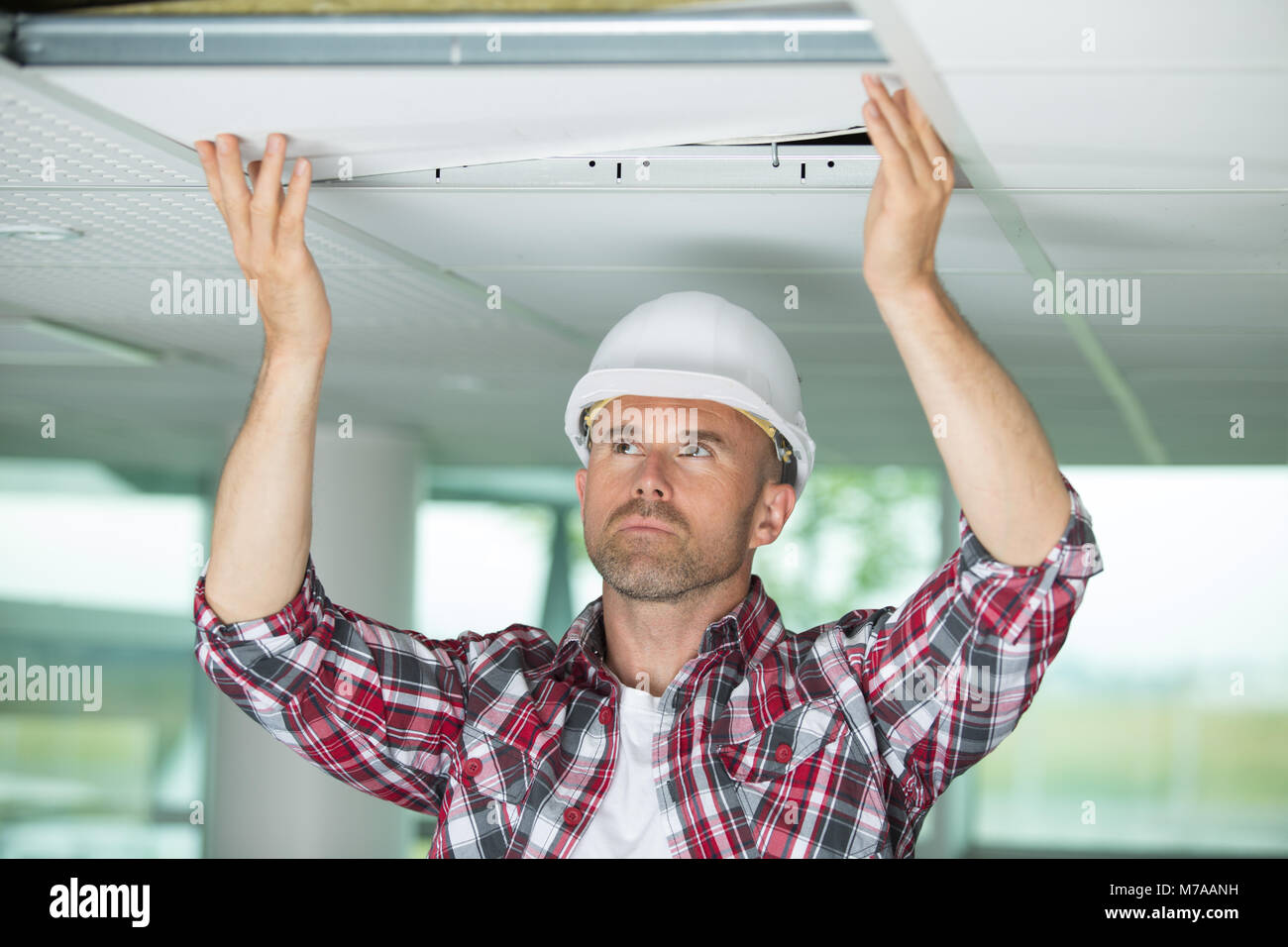 worker installing gypsum ceiling board Stock Photo - Alamy
