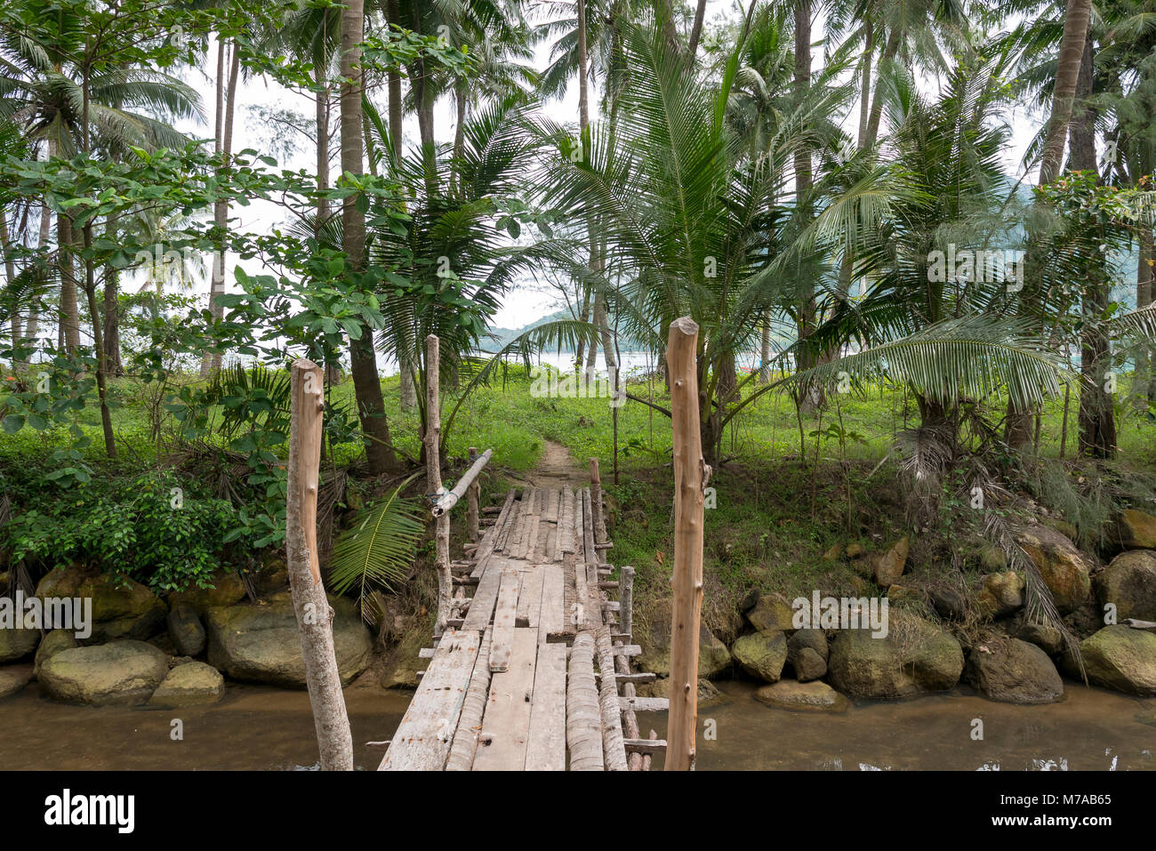 wooden bridge in the jungle, ko phangan island thailand Stock Photo - Alamy