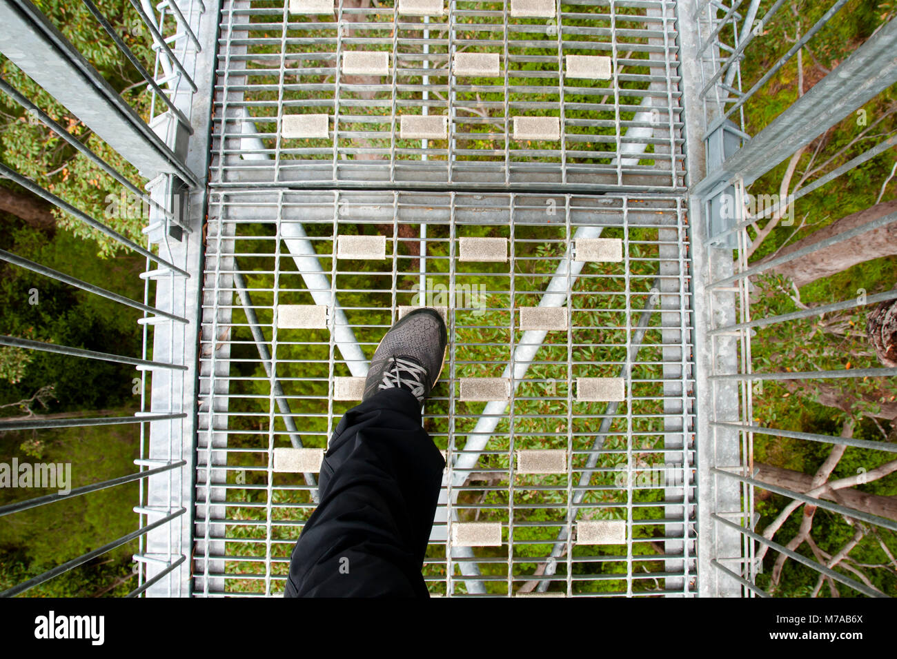 Tree Top Walk - Walpole - Australia Stock Photo - Alamy