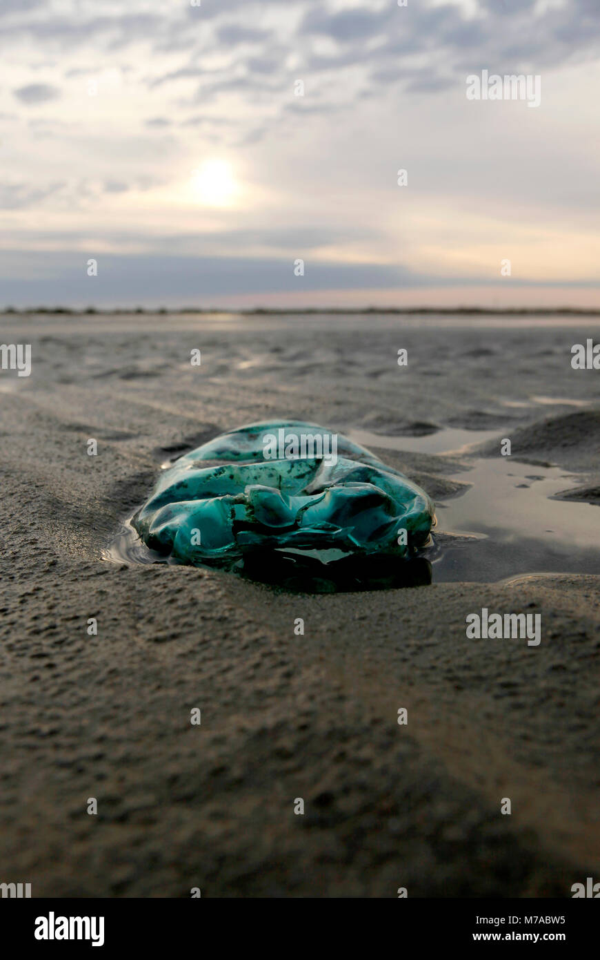 Coastline pollution at Napoleon Beach , Port-Saint-Louis du Rhone ...