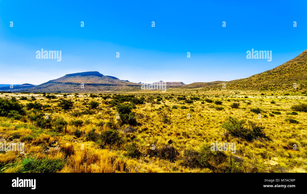 Wide open space grass hi-res stock photography and images - Alamy