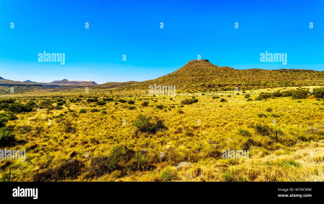 Endless wide open landscape of the semi desert Karoo Region in Free ...