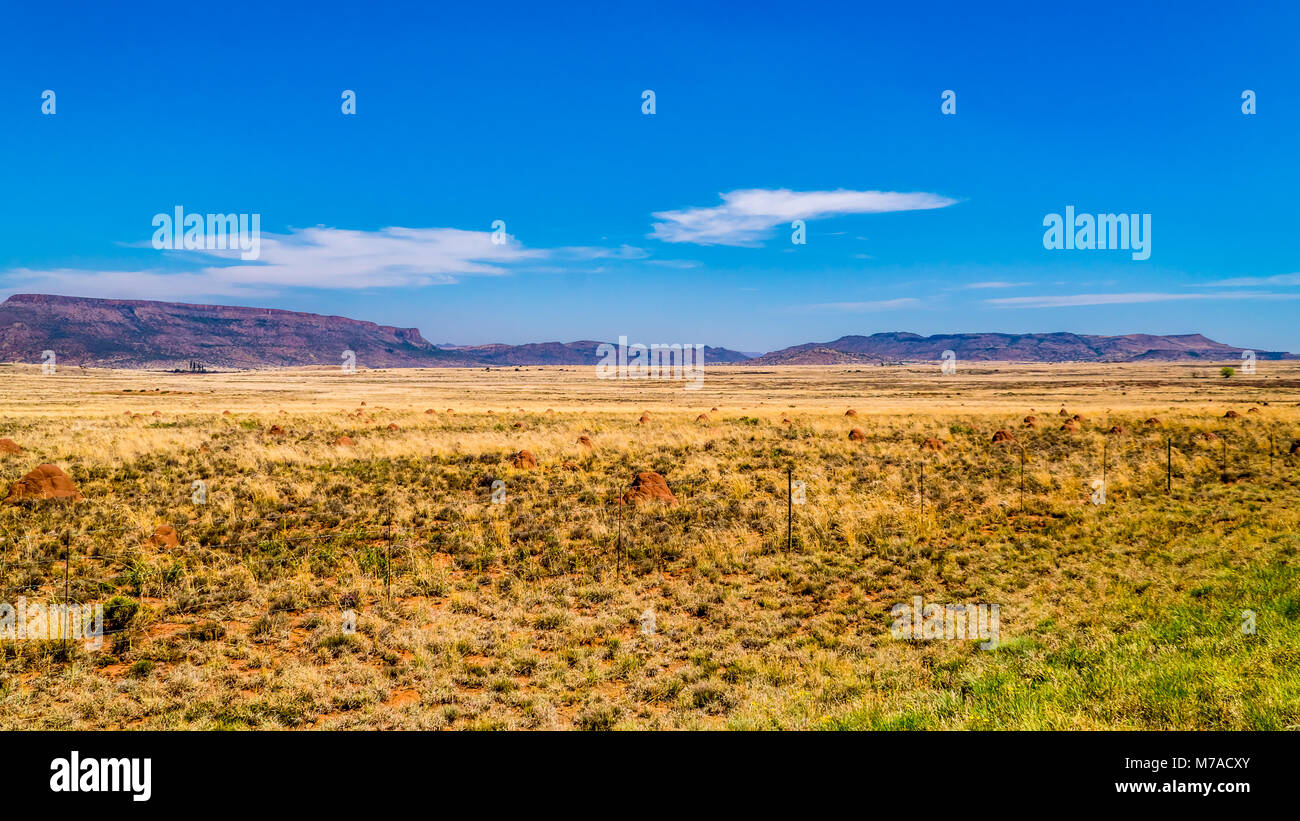 Karoo koppies hi-res stock photography and images - Alamy