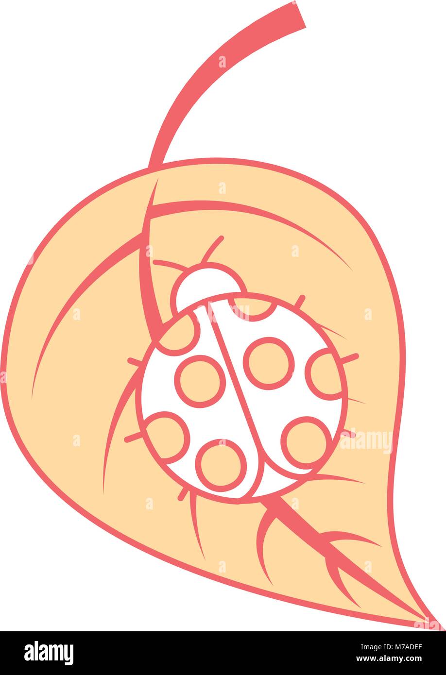 ladybug on leaf spring time Stock Vector Image & Art - Alamy