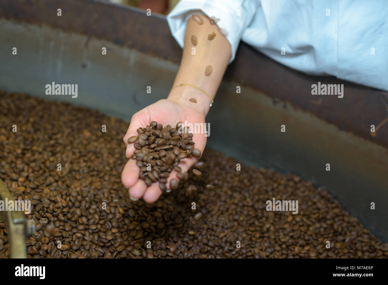 fresh roasted coffee beans Stock Photo - Alamy