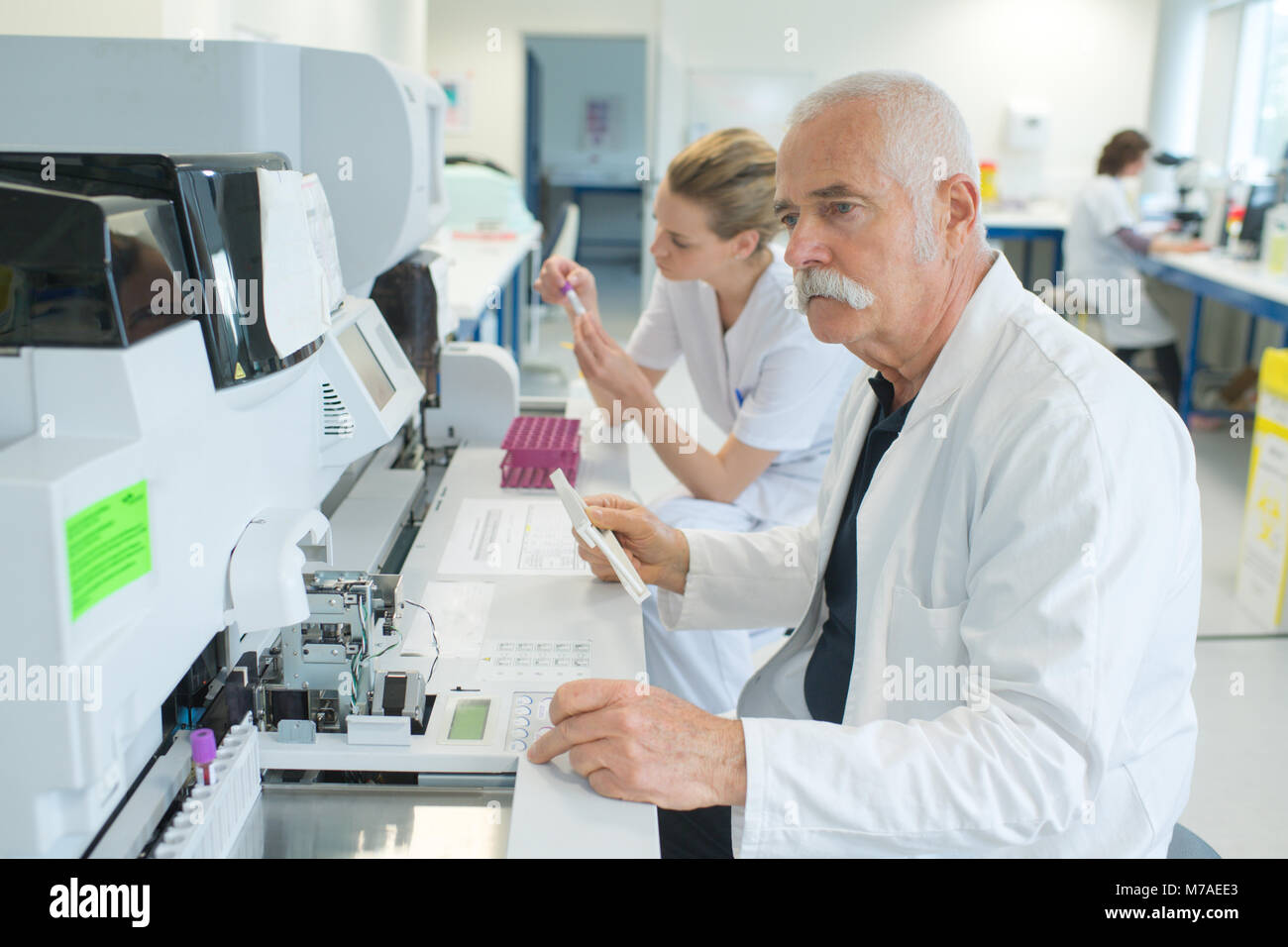 medical technologist in the laboratory Stock Photo - Alamy
