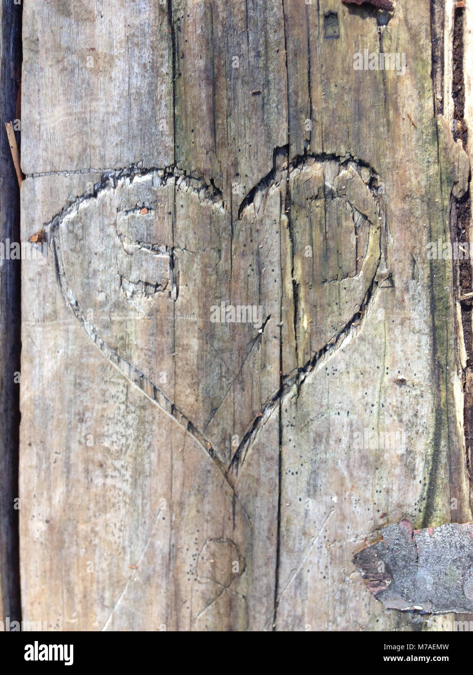 Heart carved into wood Stock Photo - Alamy