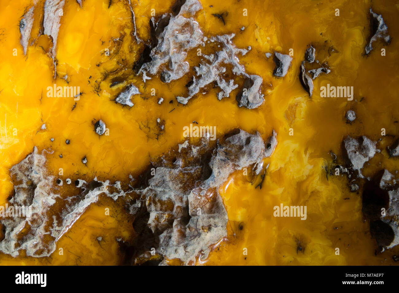 Background of old and yellow amber. Amber is fossilized tree resin ...