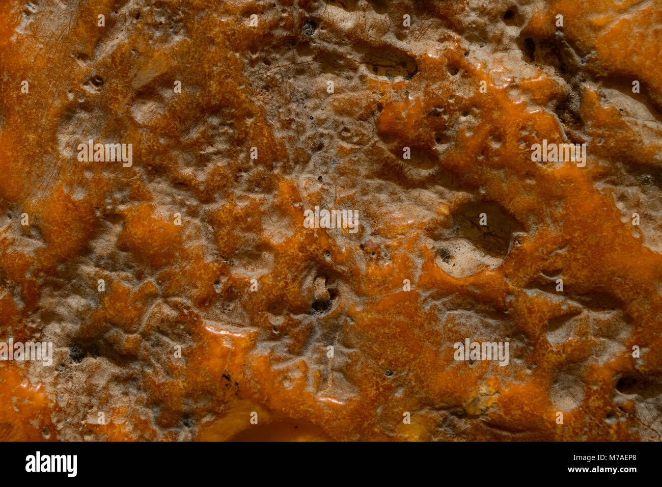 Background of old and yellow amber. Amber is fossilized tree resin ...