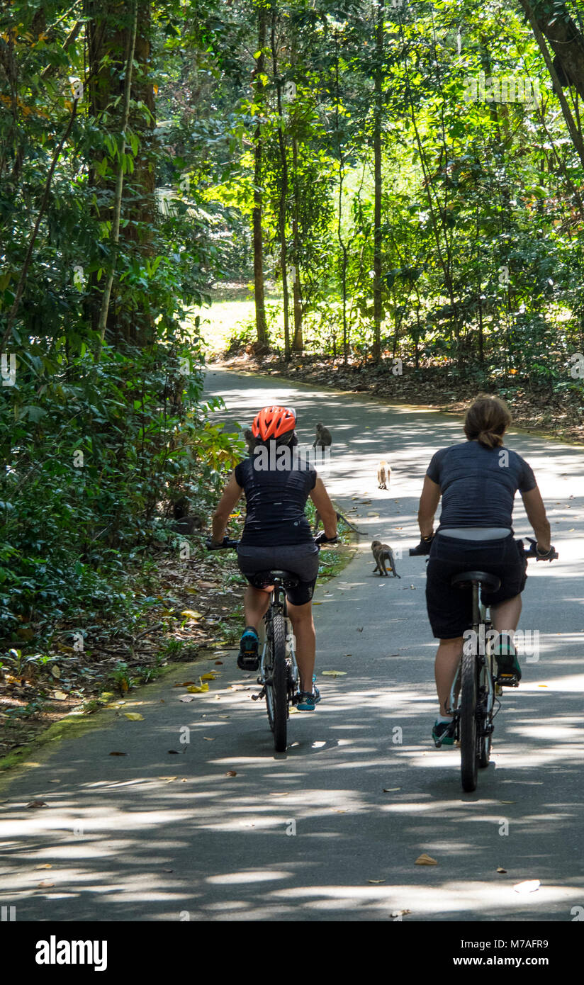 Tourists riding their rental bicycles on a day trip of cycling in the ...