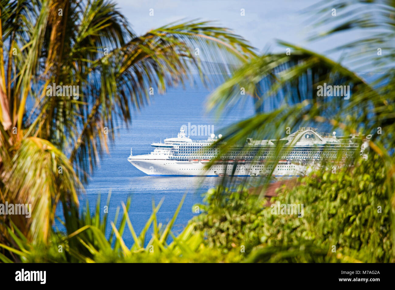A view through palm leaves of Norwegian Cruise Line's, The Golden ...