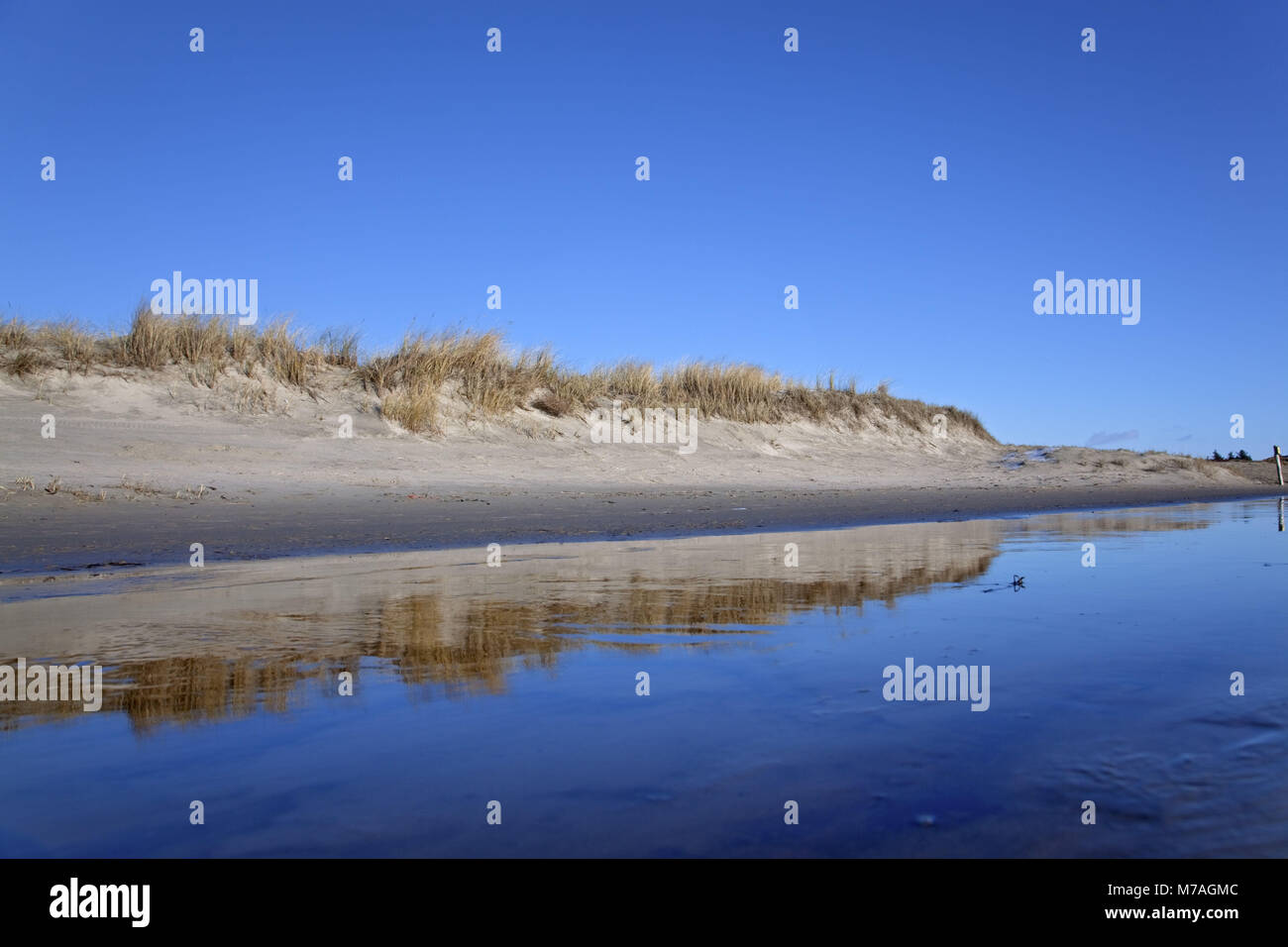 Germany, Schleswig-Holstein, North Sea coast, North Frisia, peninsula ...