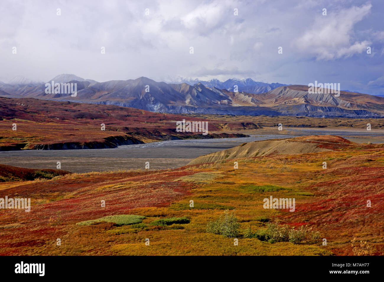 North America, the USA, Alaska, Denali National Park, tundra, Alaska ...